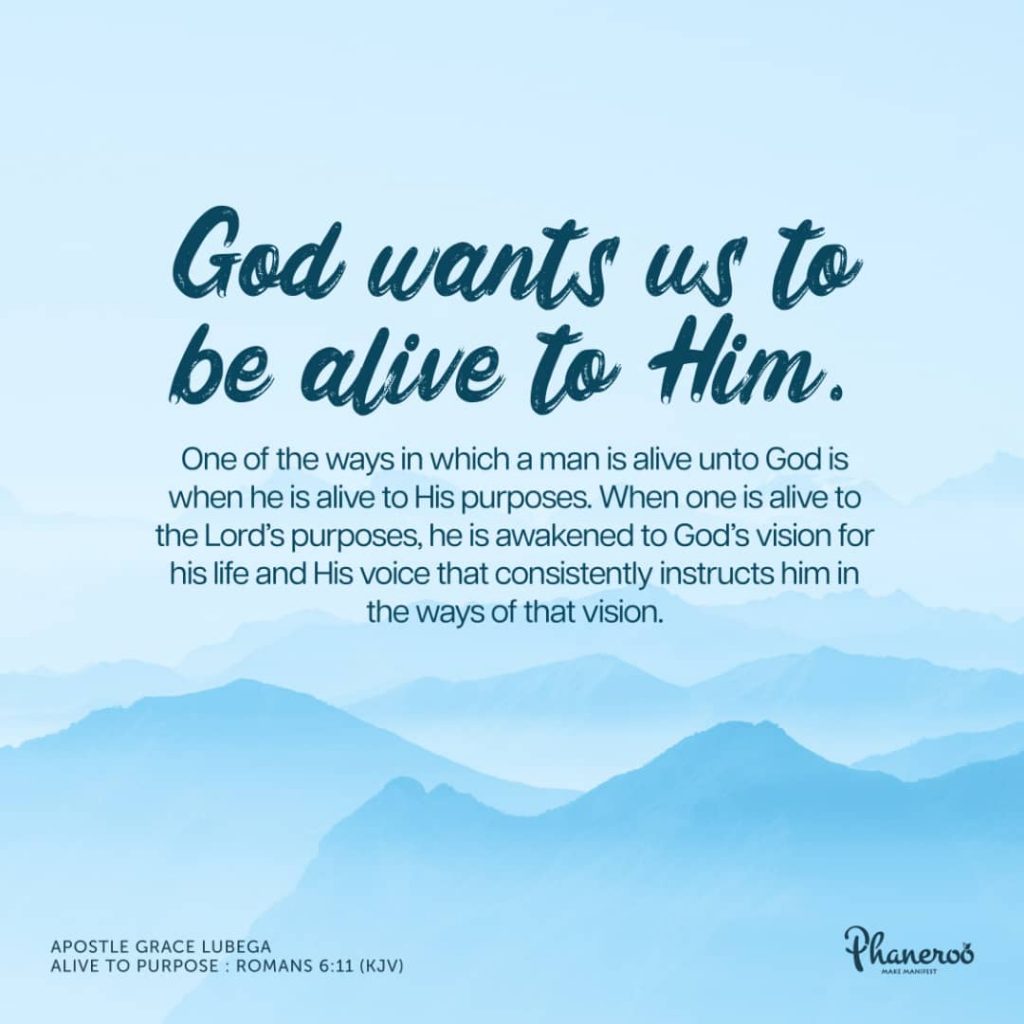 Alive To Purpose – Phaneroo