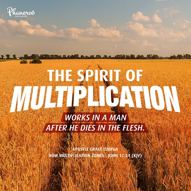 How Multiplication Comes – Phaneroo
