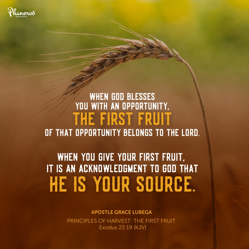 Principles Of Harvest: The First Fruit – Phaneroo