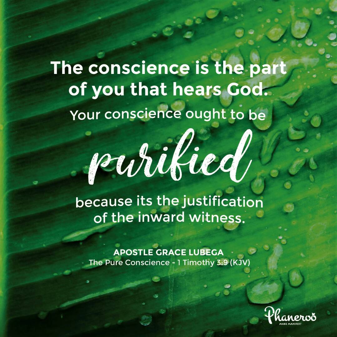 The Pure Conscience – Phaneroo
