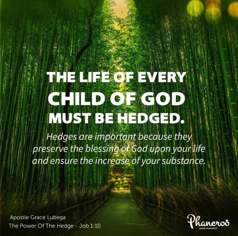 The Power Of The Hedge – Phaneroo