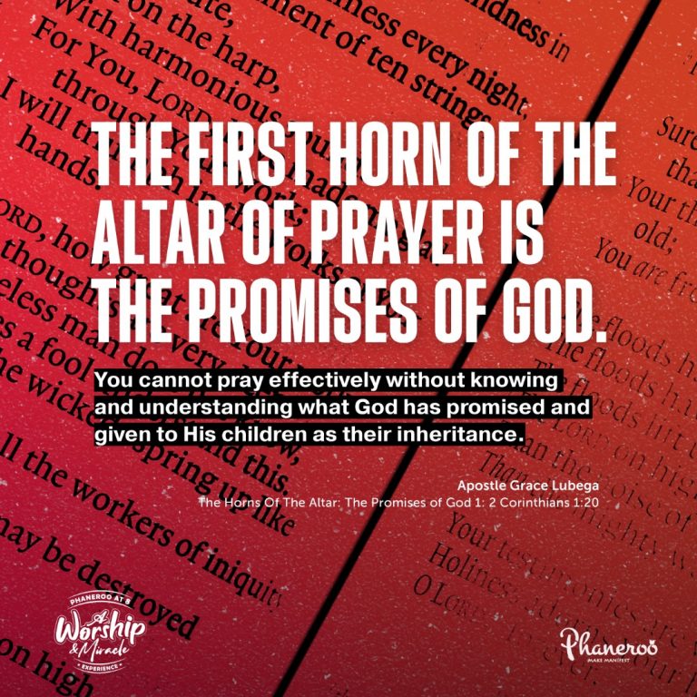 Phaneroo Devotion Archives - Phaneroo