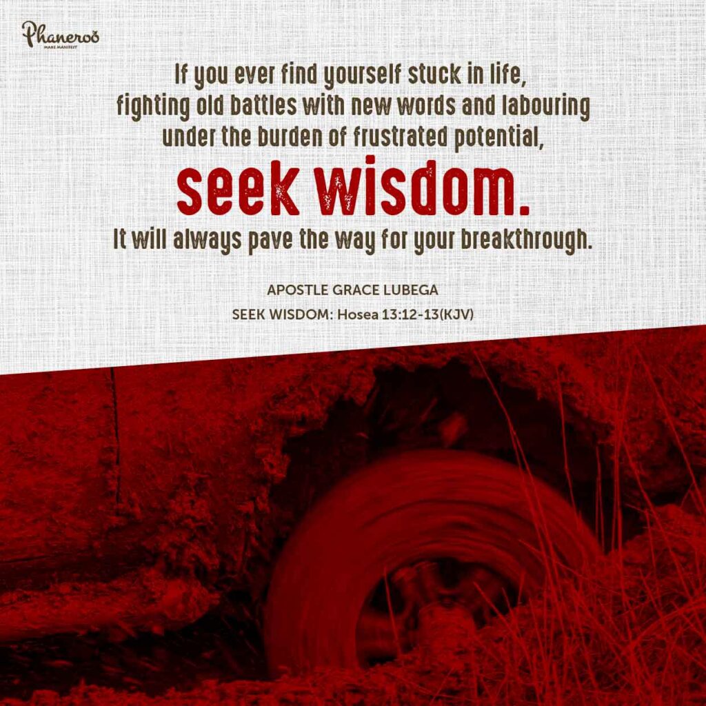 Seek Wisdom - Phaneroo